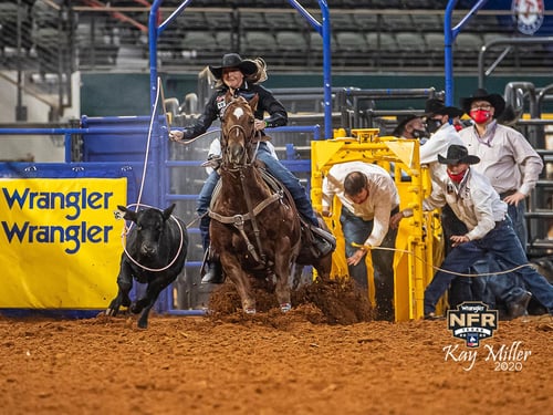 Meet Jordan Jo Hollabaugh, Breakaway Roper, AgTruckTrader Pro Rodeo Team