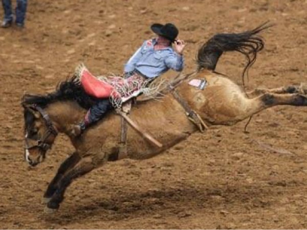 AgTruckTrader Pro Rodeo Team: Official Site